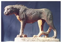 Jo Roos - South African Artist | Arcy Art Original Oil Paintings Artist ...